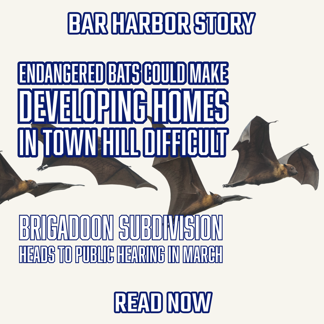 Endangered Bats Could Make Developing Homes in Town Hill Difficult ...