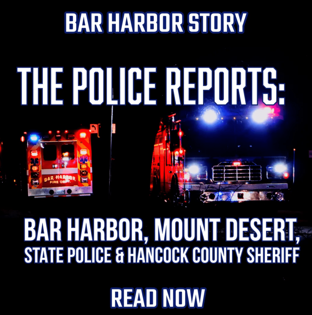 We Now Know Why the Chicken Crossed the Road – Bar Harbor Story