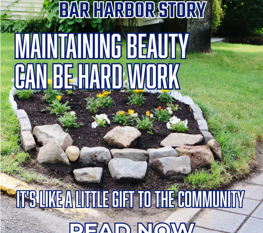 Bar Harbor Story – Faster. Smarter. News for Our Community