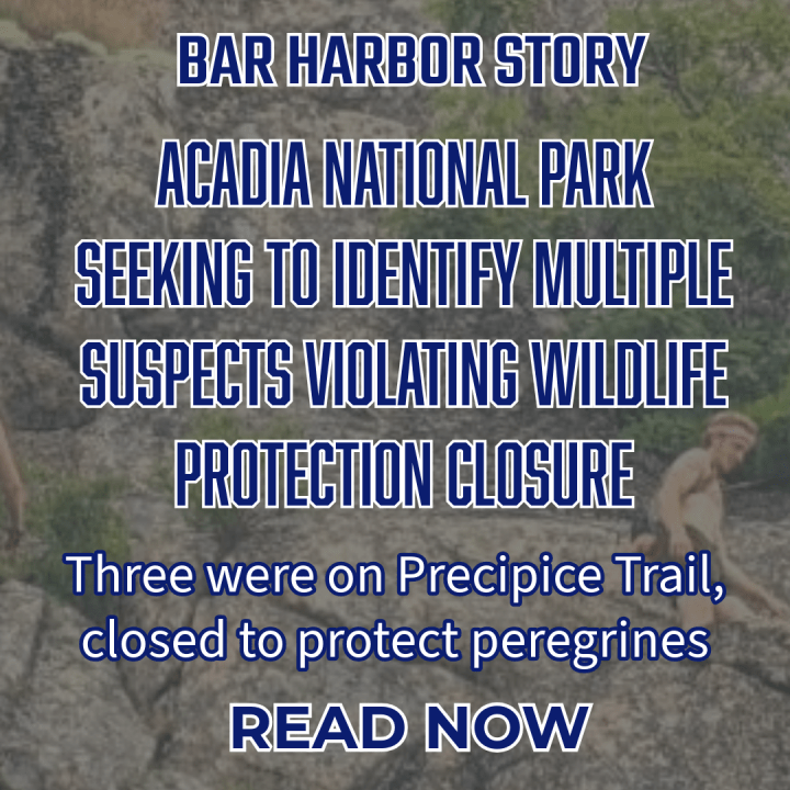 Bar Harbor Story – Faster. Smarter. News for Our Community